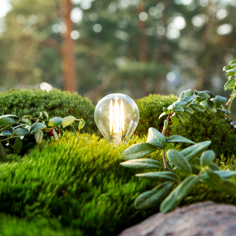 The Department of Energy's August 2023 Enforcement - Candex Lighting